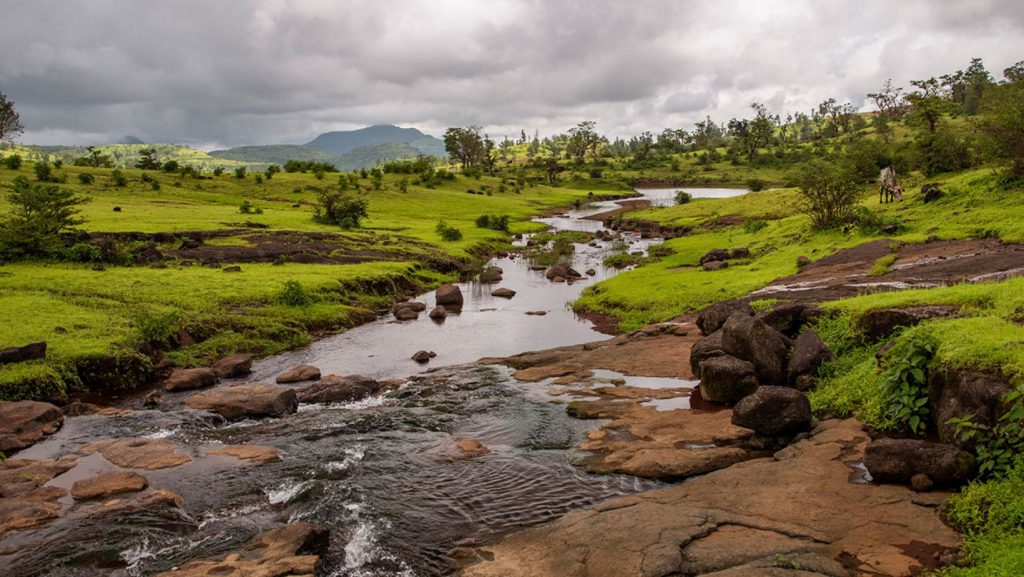 Escape to Nature: 7 Hill Stations Near Gujarat to Visit this Monsoon